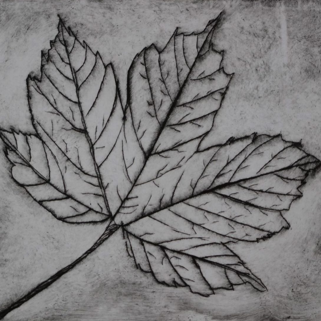 Lynda B - Bethlem Gallery